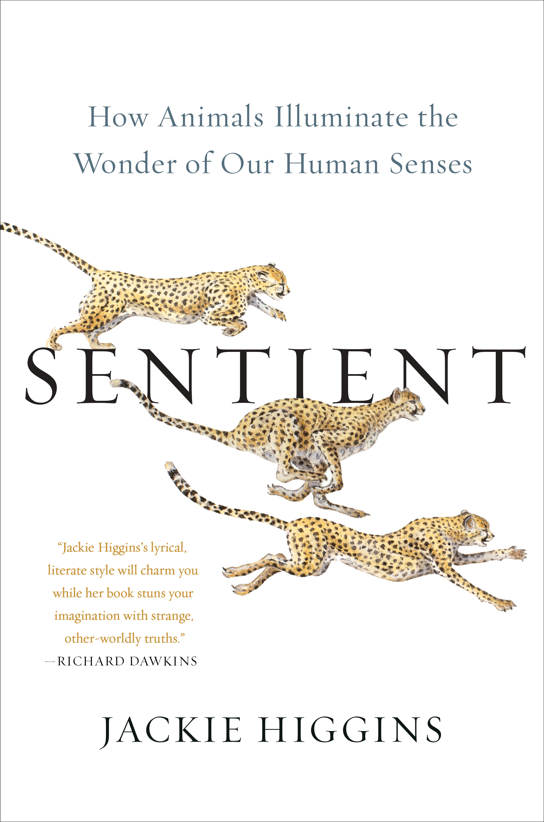 Sentient (REVIEW): Deciphering the wonders and science behind our ...