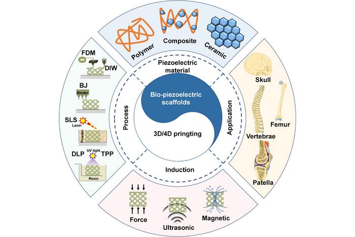 3D/4D printed bio-piezoelectric smart scaffolds for next-generation ...