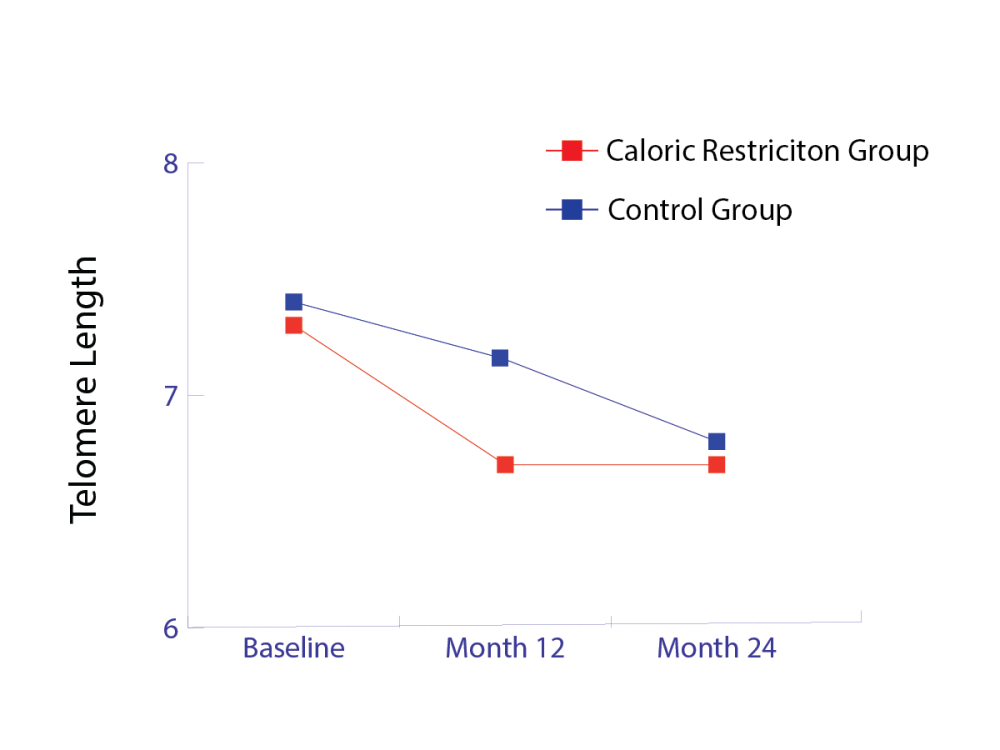 Calorie restriction study reveals complexities in how diet impacts ...