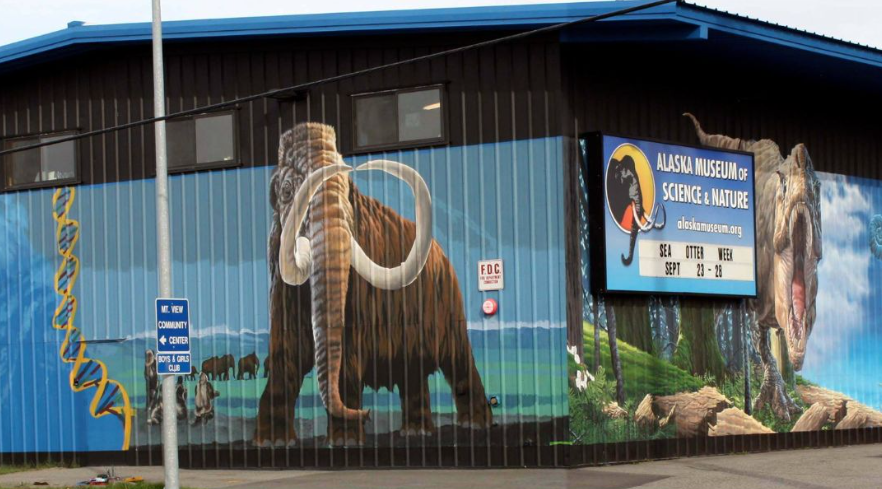 50 States of Science: Born from humble beginnings, the Alaska Museum of ...