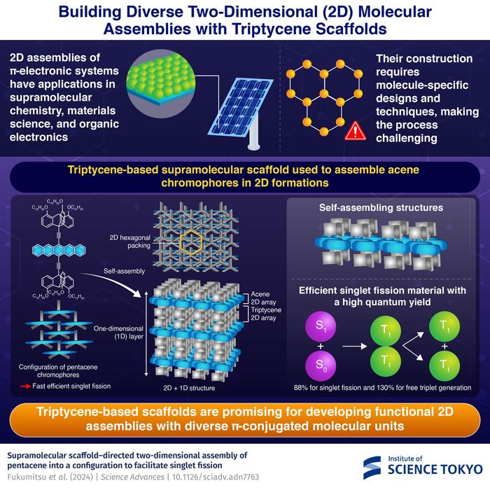 Building better solar cells: assembly of 2D molecular structures with triptycene scaffold ...