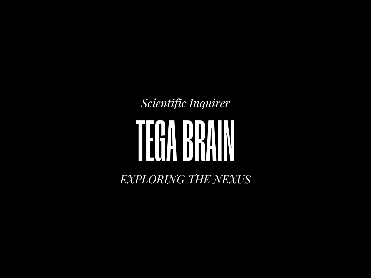 Exploring the Nexus: Tega Brain on Reimagining Systems and the Intersection of Art, Engineering ...